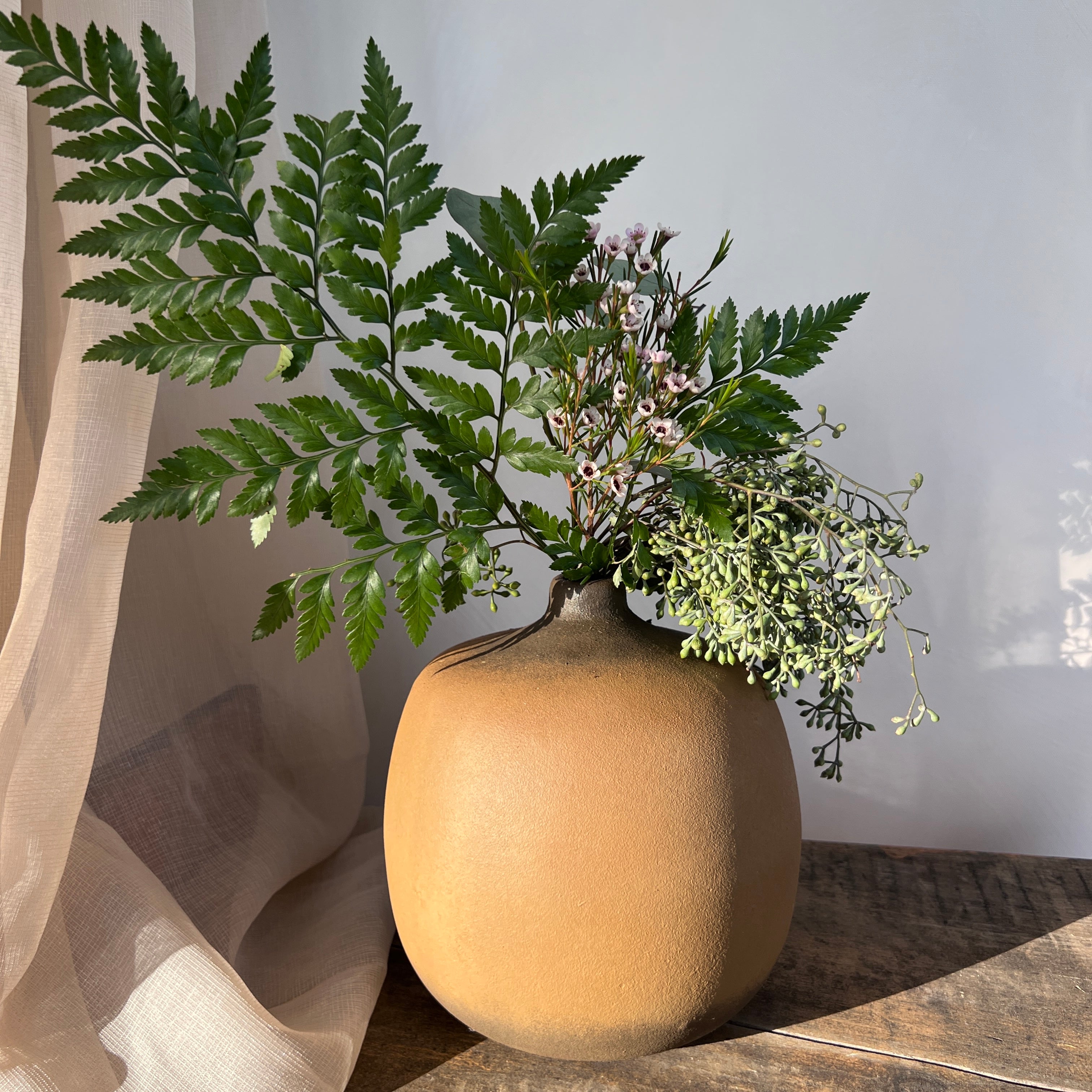 Shadow Vase – Reclaim & Rewild